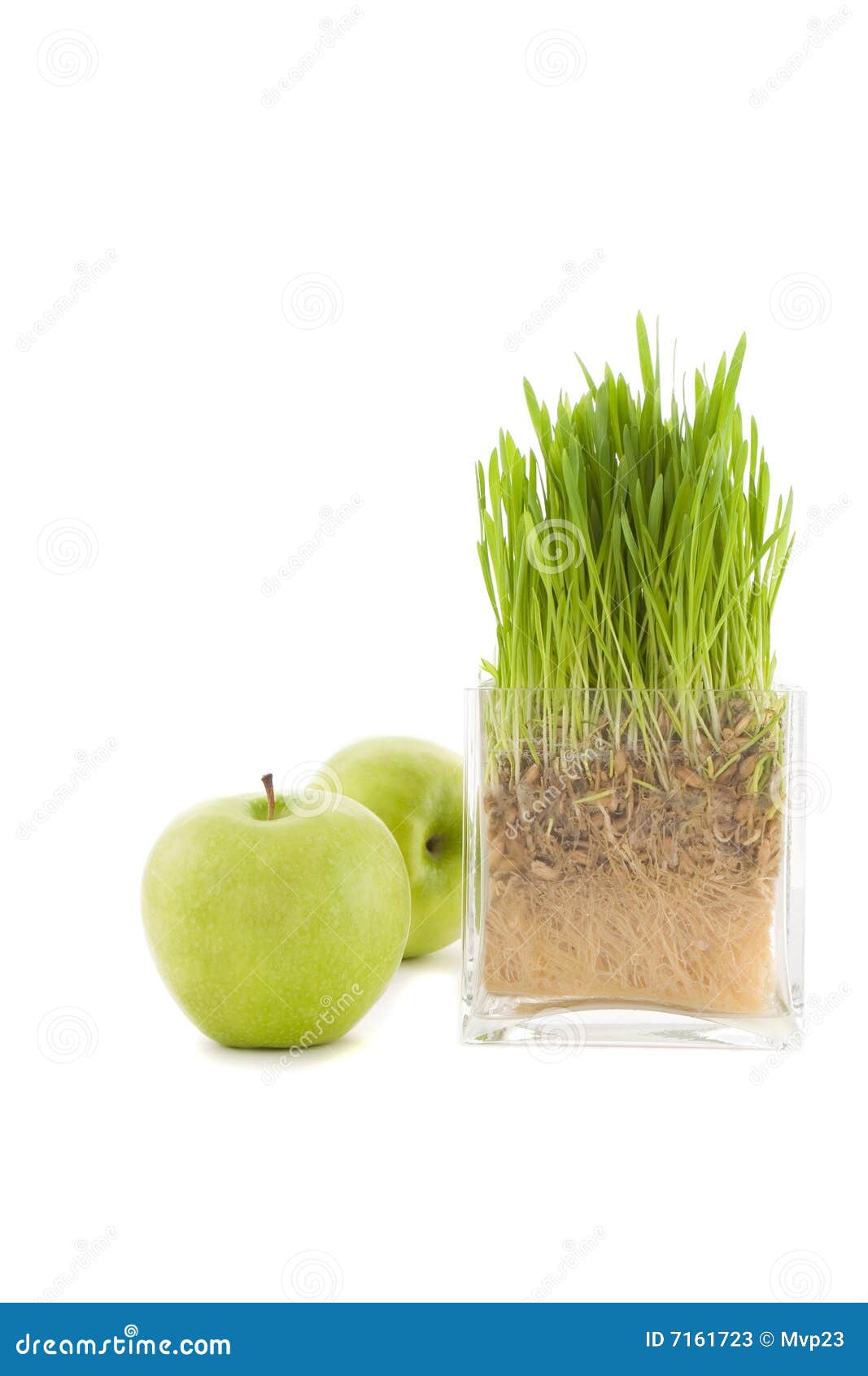 Wheat and apple stock image. Image of apple, seed, fresh - 7161723