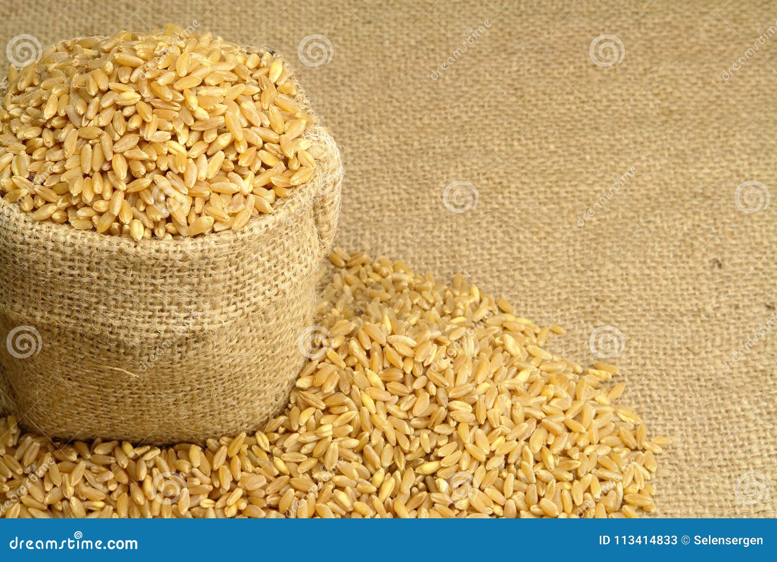 Wheat with bag stock image. Image of harvest, organic - 113414833