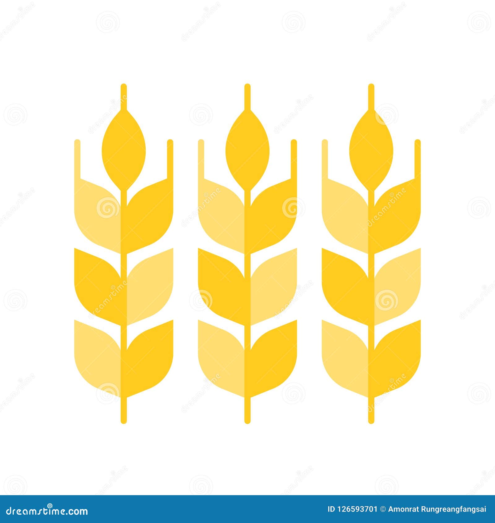 Wheat or barley, flat icon stock vector. Illustration of rice - 126593701