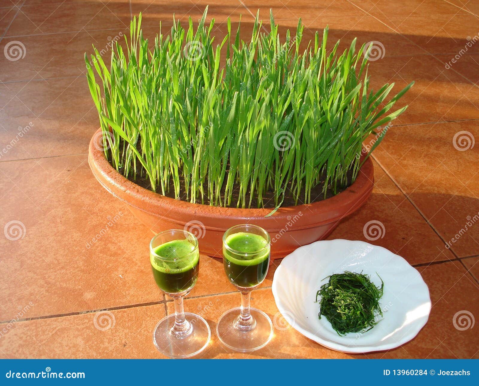 Wheat Blades stock photo. Image of green, cultivate, grow - 13960284