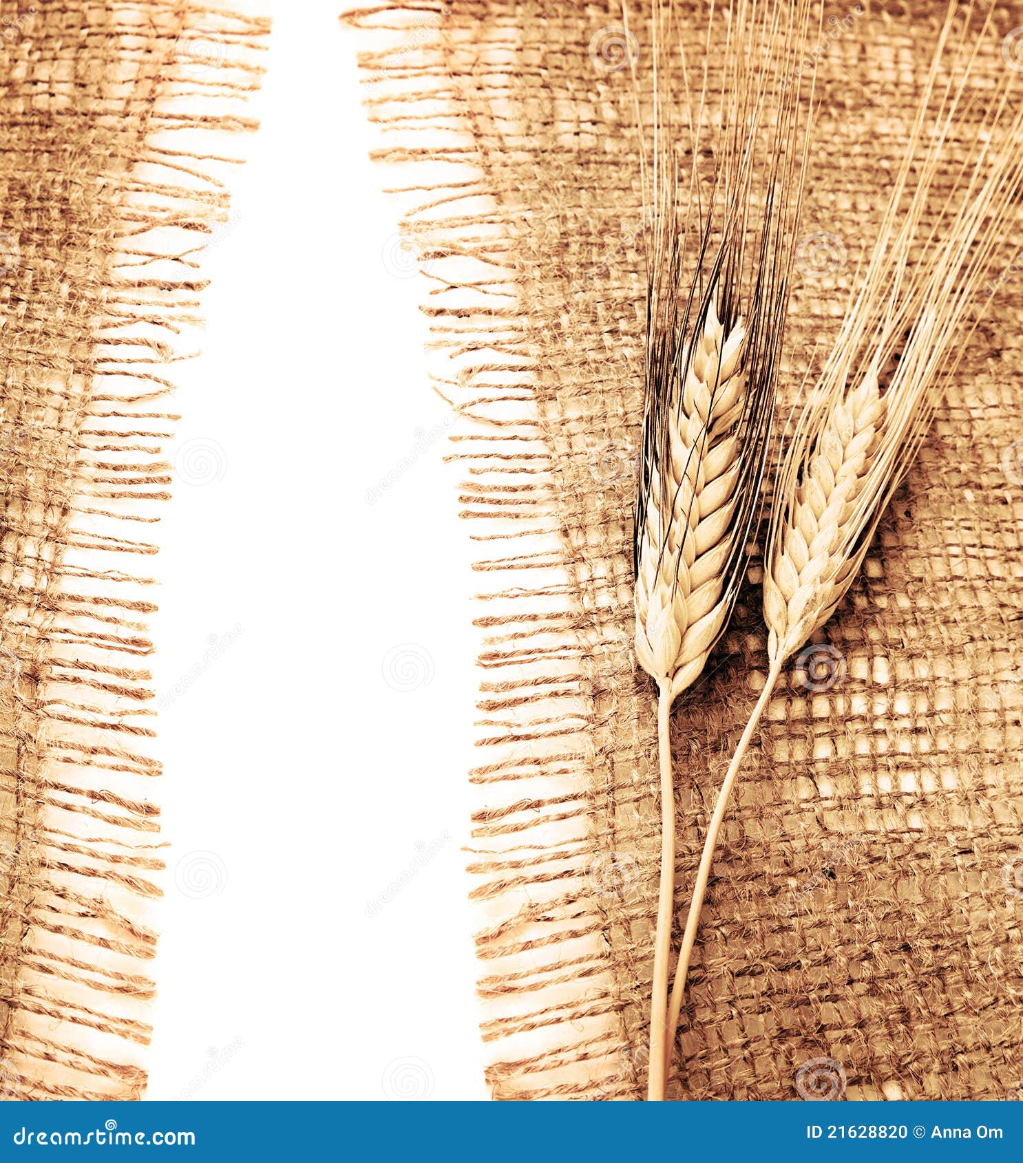 Wheat Border Stock Photo - Image: 21628820