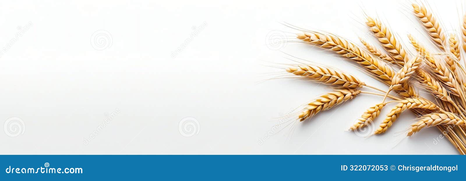 Wheat On Border Side On Plain White Background Copyspace Ai Generated ...