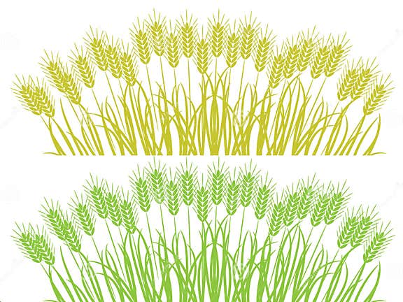 Wheat borders stock vector. Illustration of grow, abstract - 19836117