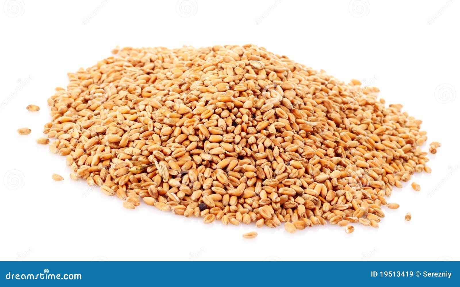 Wheat in bowl isolated stock image. Image of meal, natural - 19513419