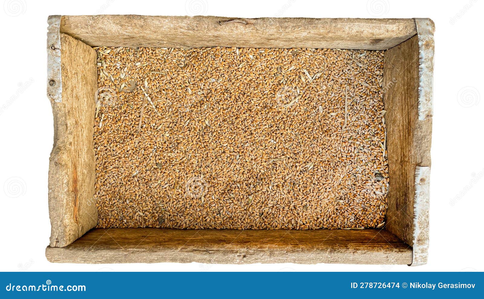 Wheat in a Box on a White Background Stock Photo - Image of groats, commodity: 278726474