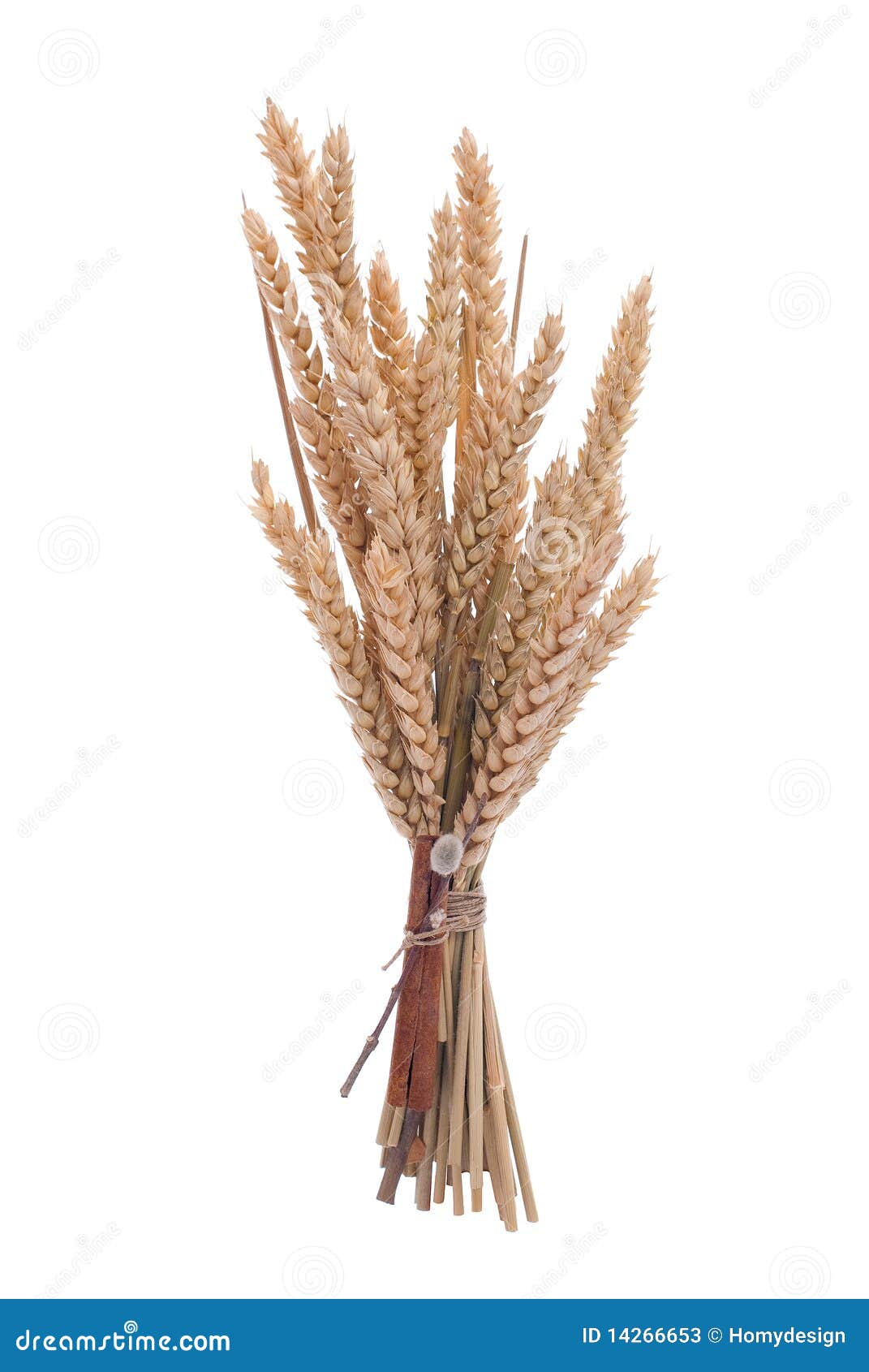 Wheat branch stock image. Image of harina, cereal, grains - 14266653