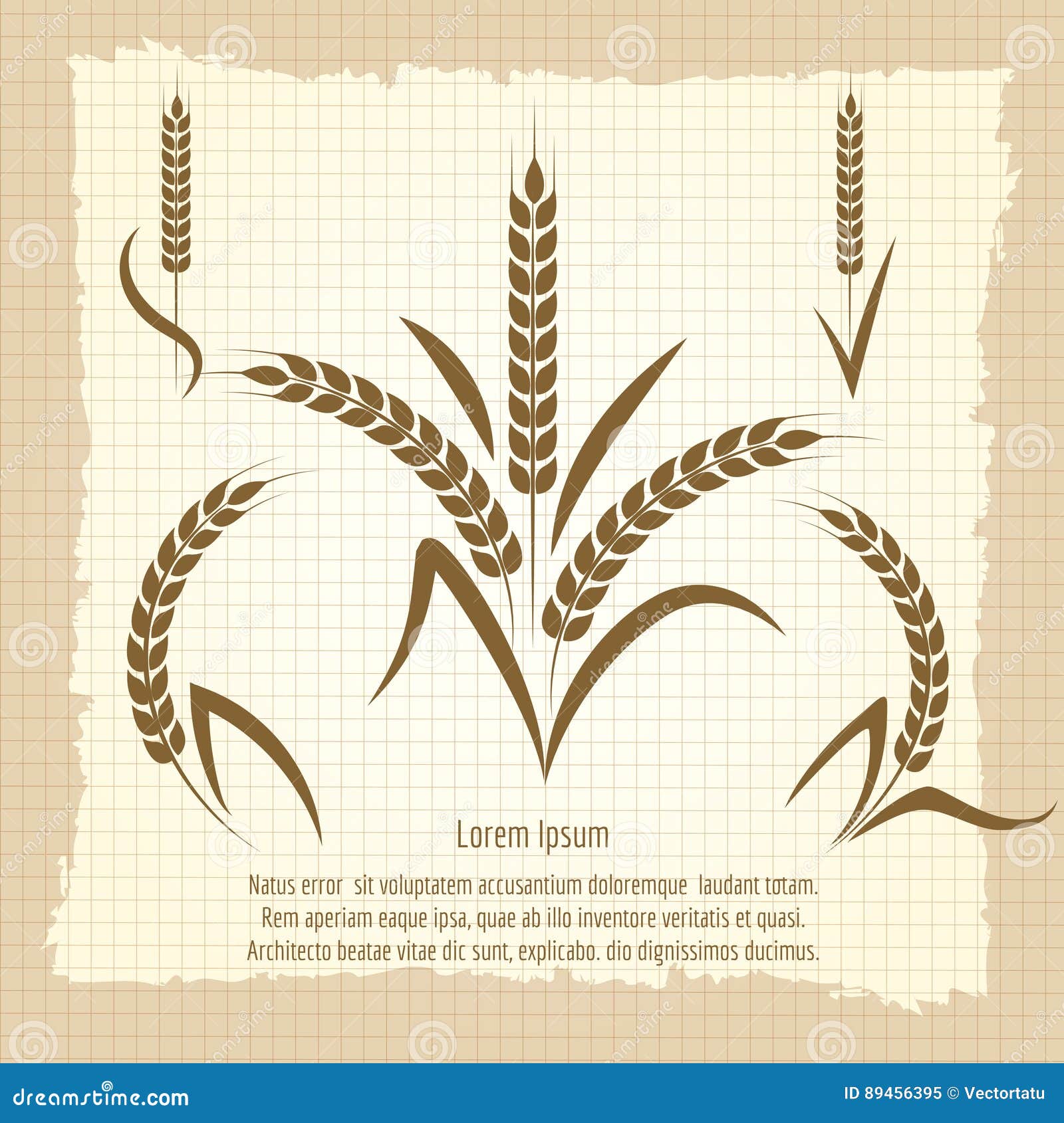 Wheat Branches Vintage Poster Design Stock Vector - Illustration of ...