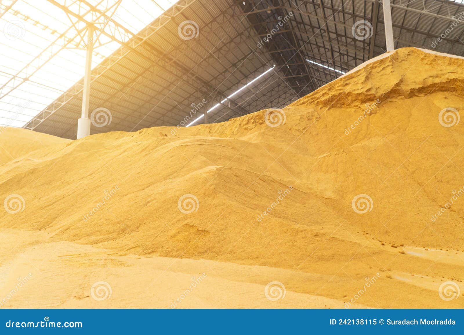 Wheat at Bulk Cargo Warehouse Storage for Animal Feed Industry Stock ...