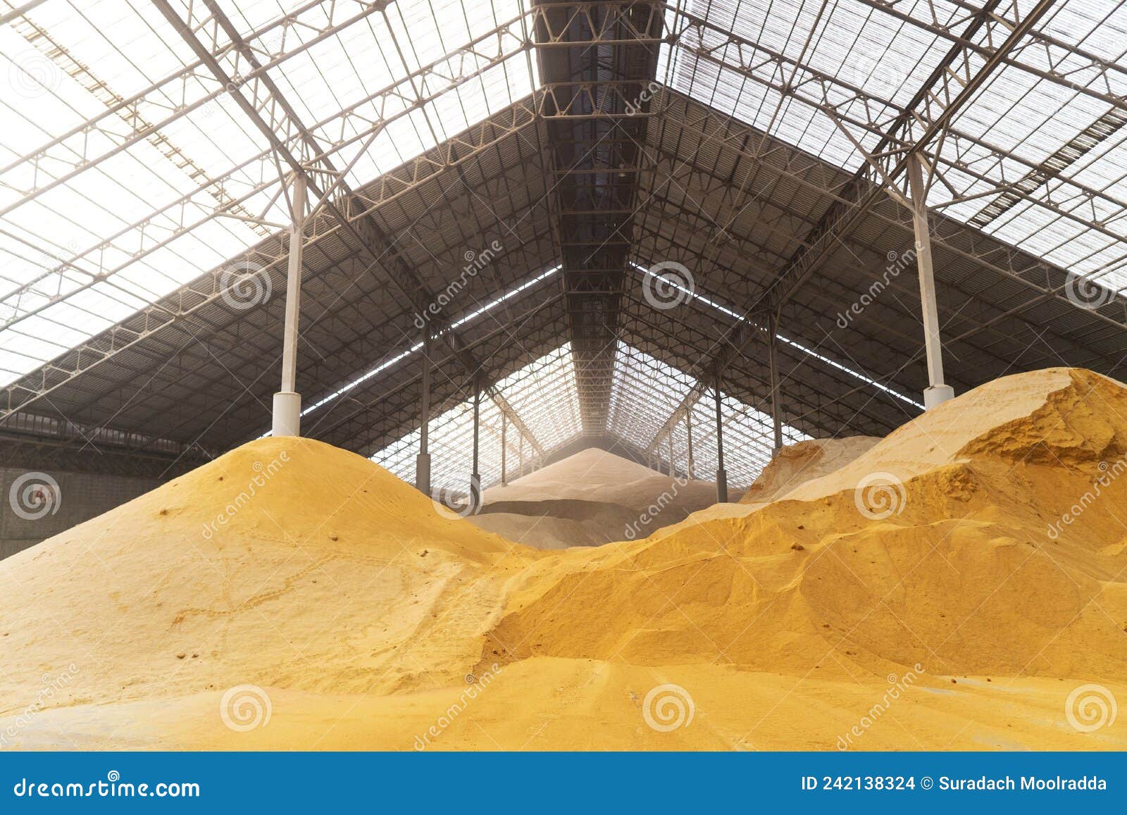 Wheat at Bulk Cargo Warehouse Storage for Animal Feed Industry Stock ...