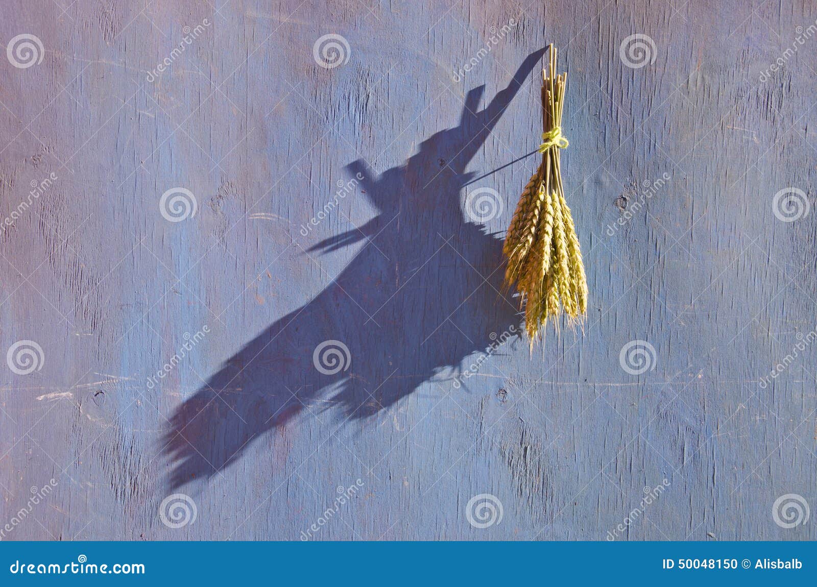 Wheat Bunch on Old Wall and Shadow Stock Photo - Image of hang, cereal ...