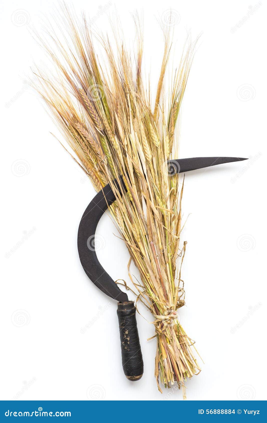 Real Sickle And Hammer Lying As The Soviet Communist Symbol Isolated On ...