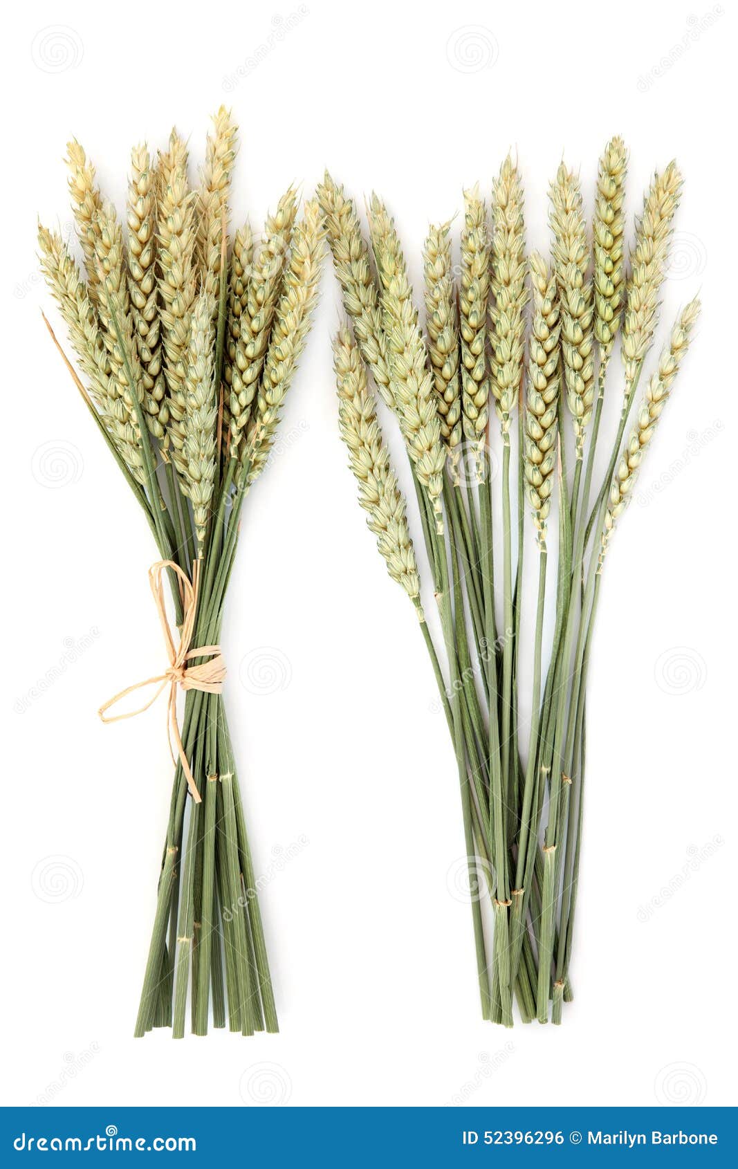 Wheat Bundles stock photo. Image of background, straw - 52396296
