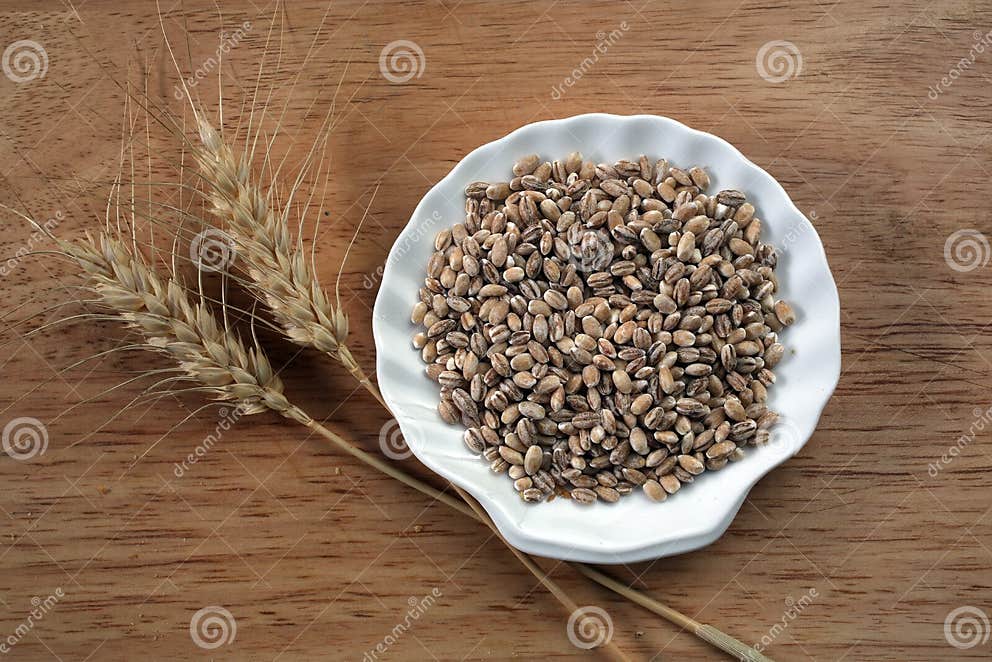 Wheat in ceramic plate stock image. Image of bread, seeds - 98262137