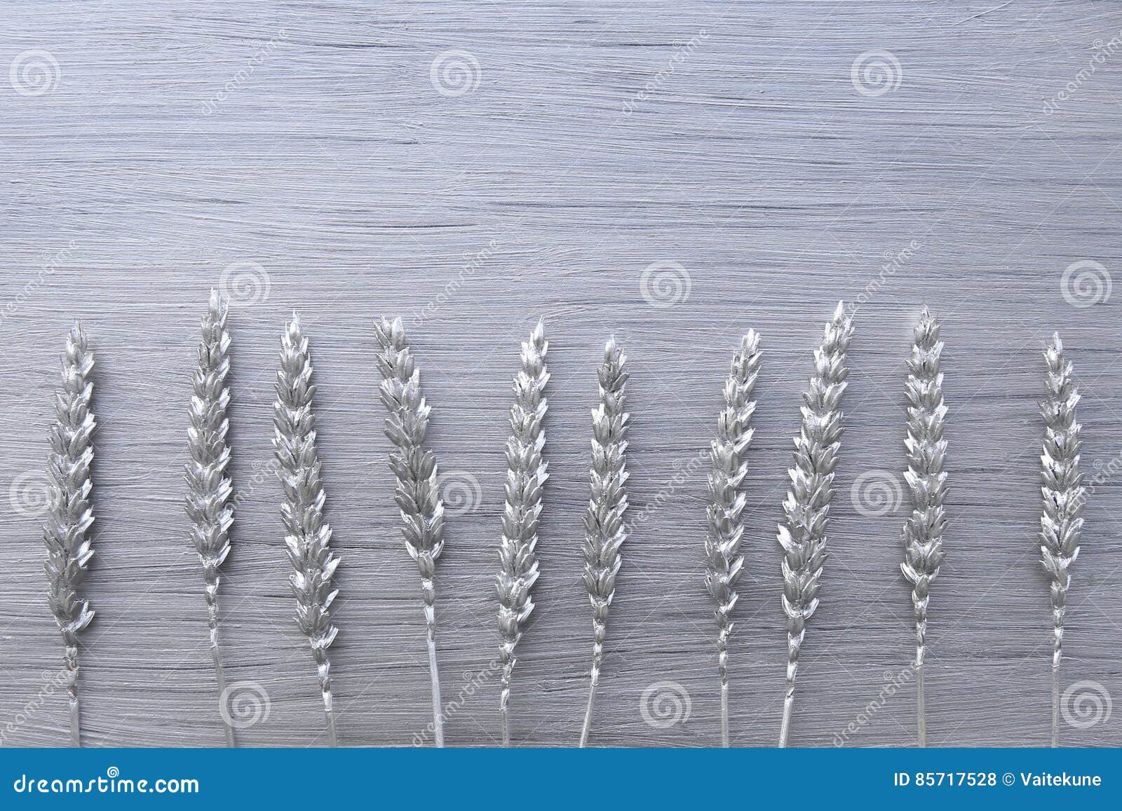Wheat Colored in Silver on Silver Paint Background. Stock Photo - Image ...