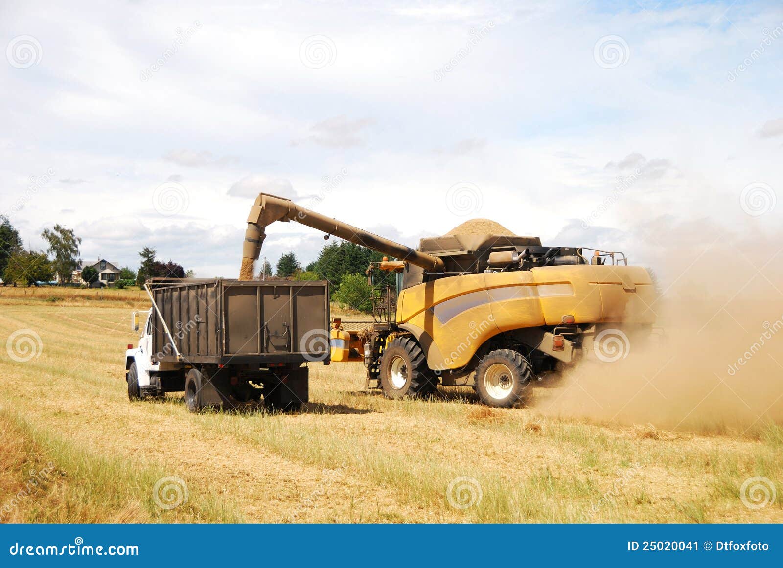Wheat Combine stock image. Image of feed, grow, grain - 25020041