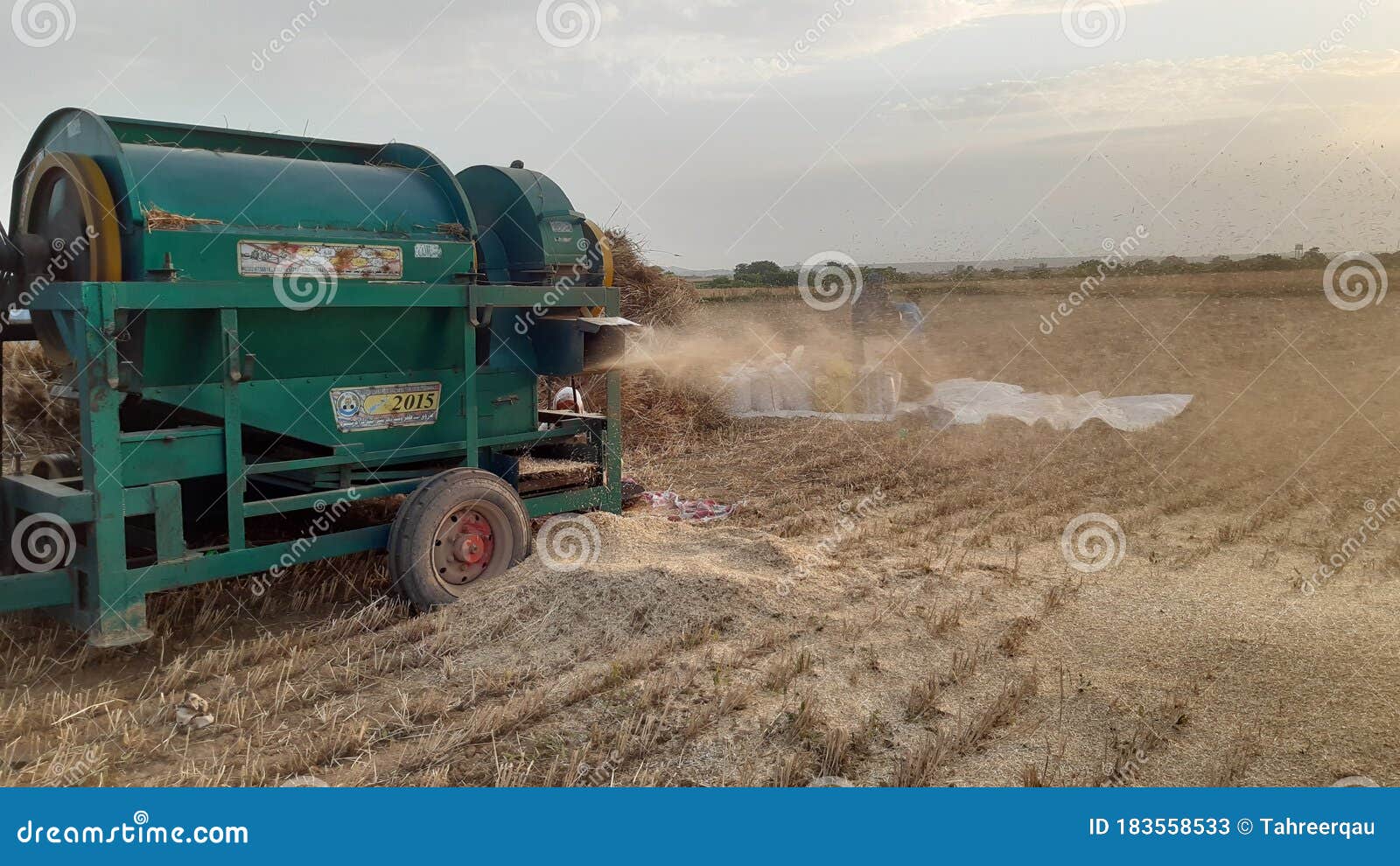 Threasure while Threshing Wheat Crop in Rural Punjab Editorial Stock ...