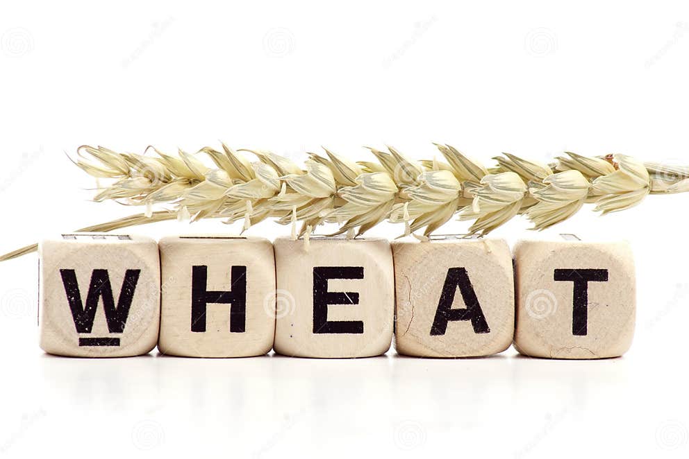 Wheat in dice stock photo. Image of golden, concept, grain - 20020748