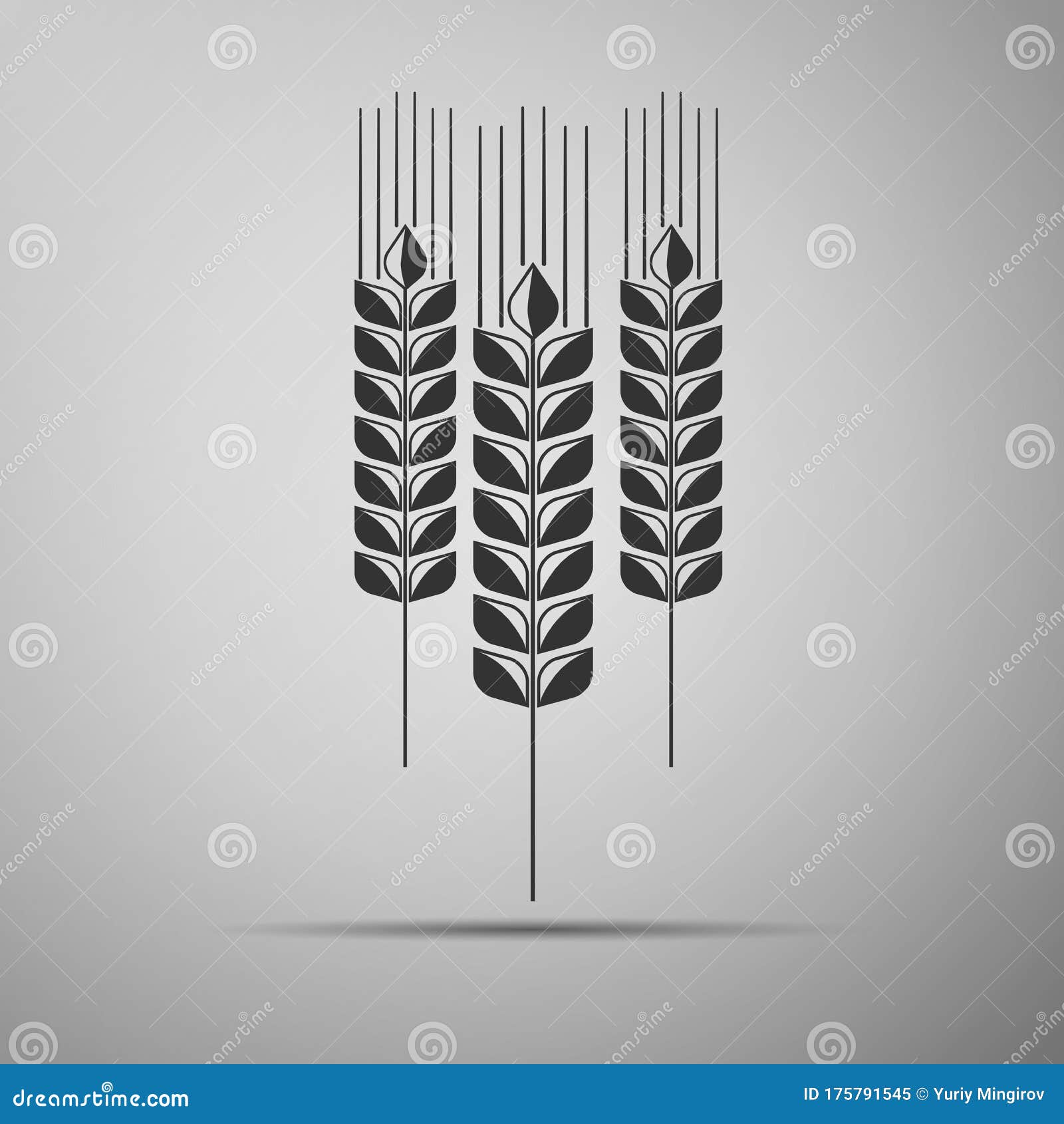 Wheat ear icon. stock vector. Illustration of design - 175791545
