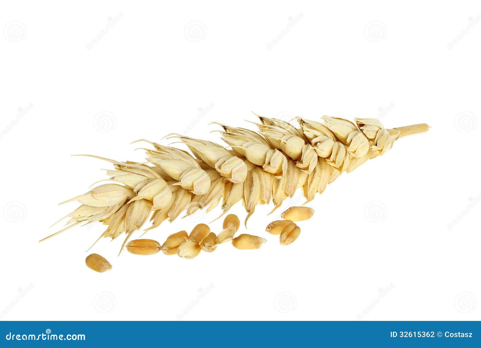 Wheat ear stock photo. Image of grow, bread, flour, plant - 32615362