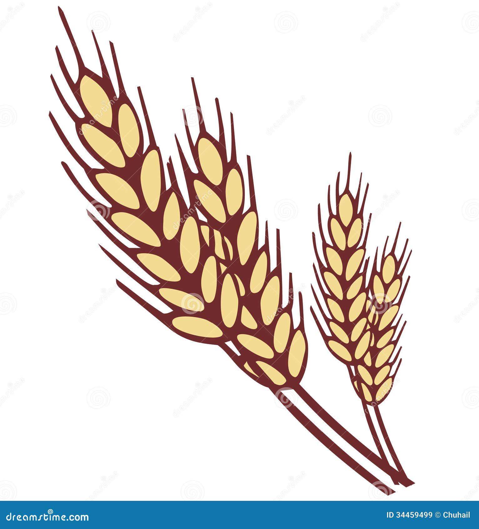 Simple Wheat Drawing