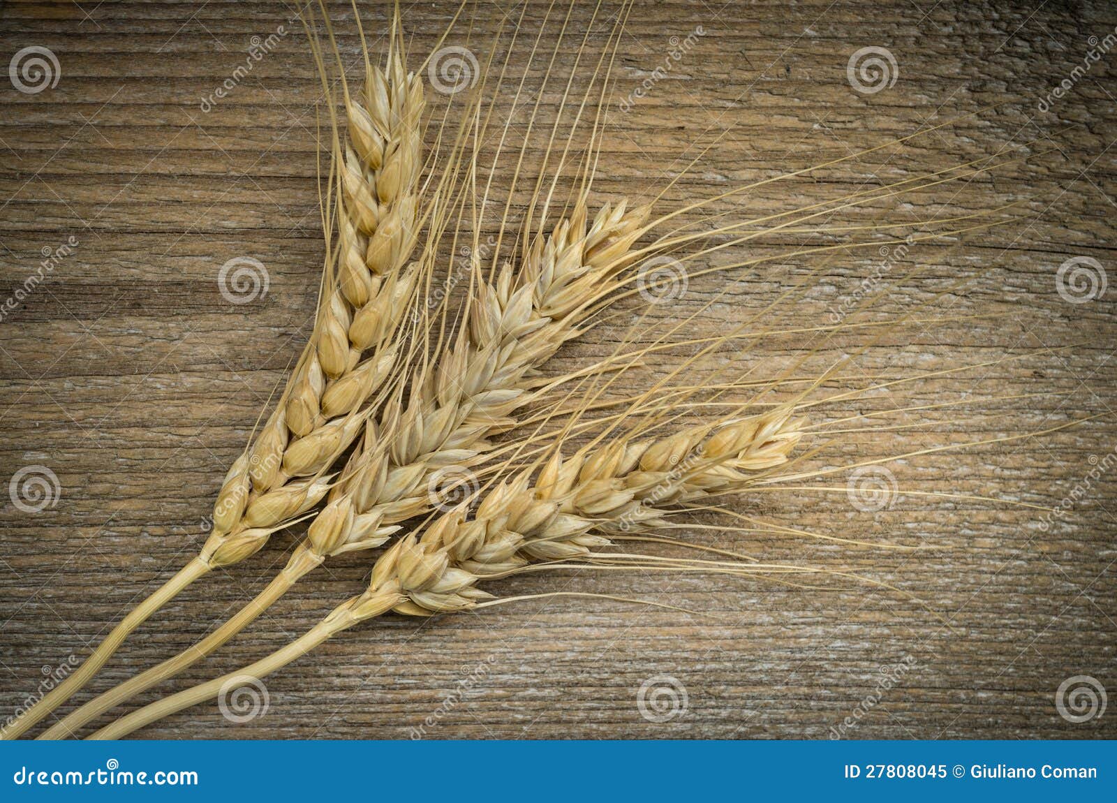 Wheat ears stock image. Image of diet, golden, cereals - 27808045