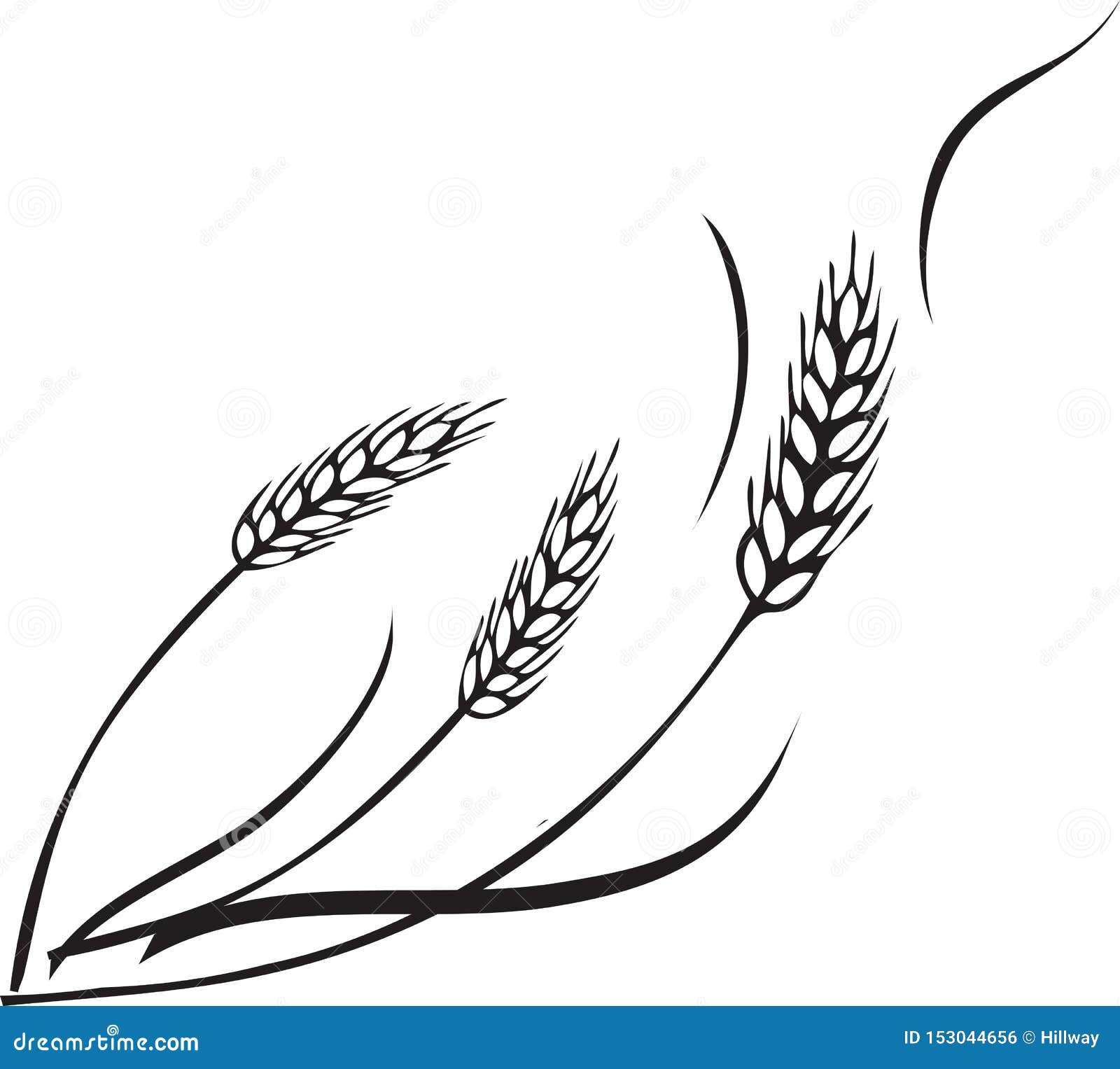 Wheat Border Clip Art