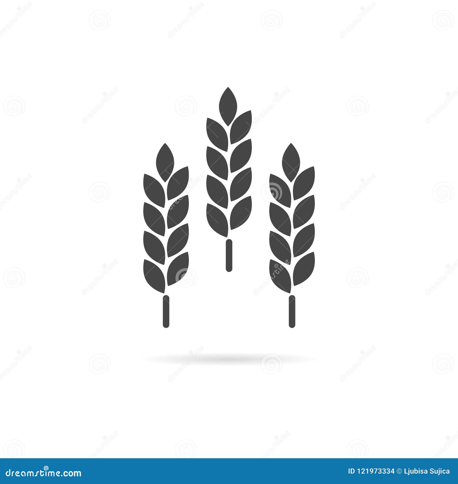 Wheat ears or rice icon stock vector. Illustration of agriculture ...