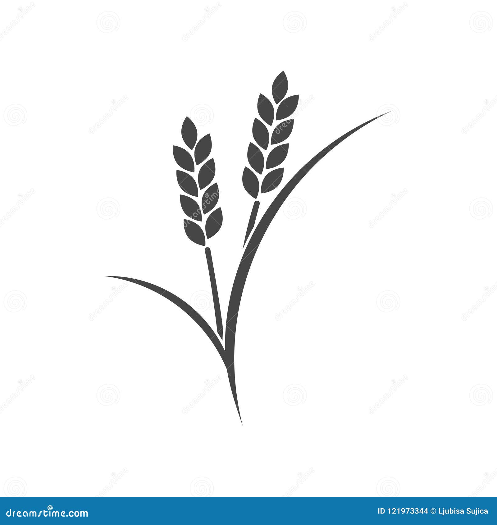 Wheat ears or rice icon stock vector. Illustration of food - 121973344