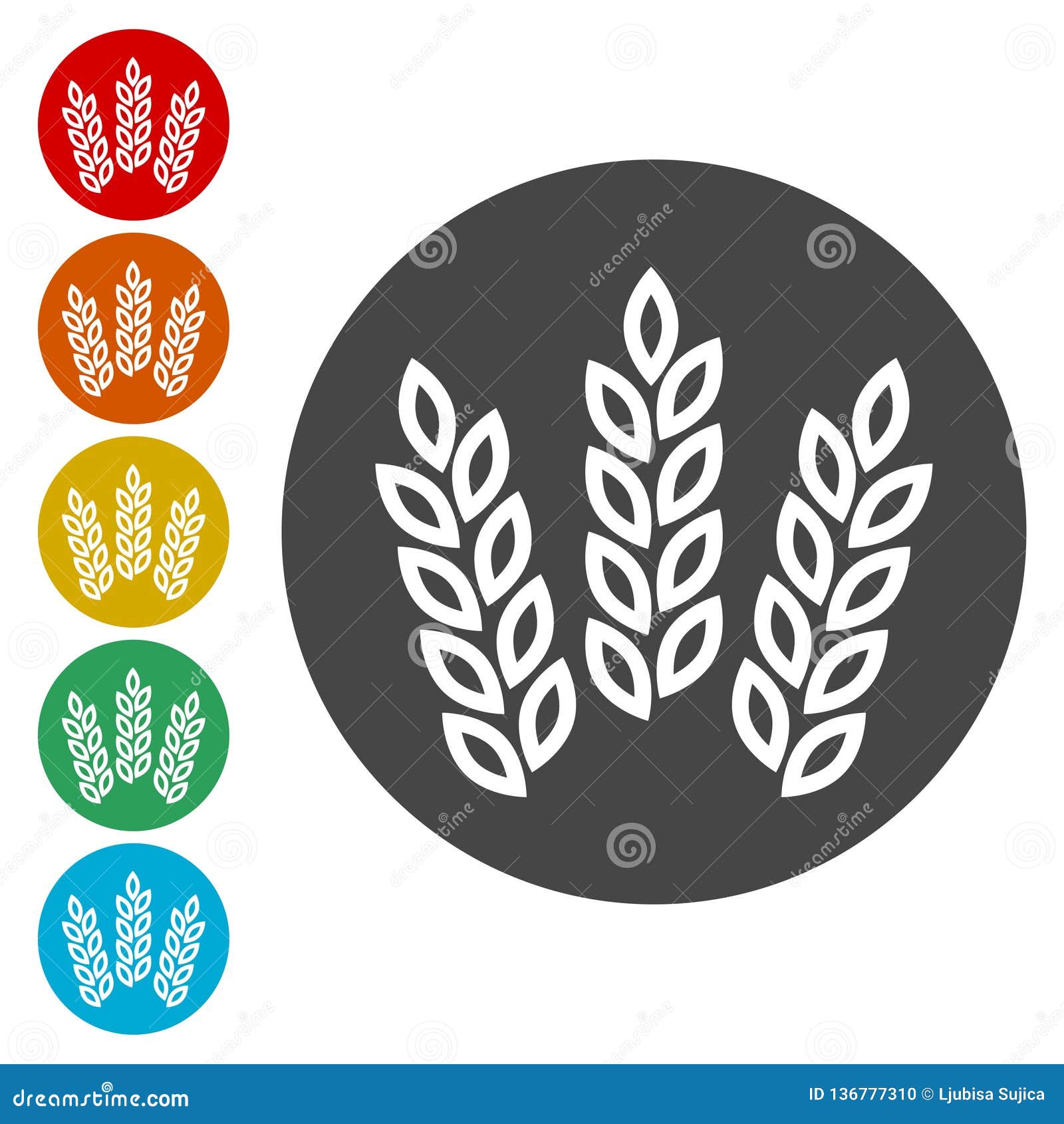 Wheat ears or rice icon stock vector. Illustration of natural - 136777310