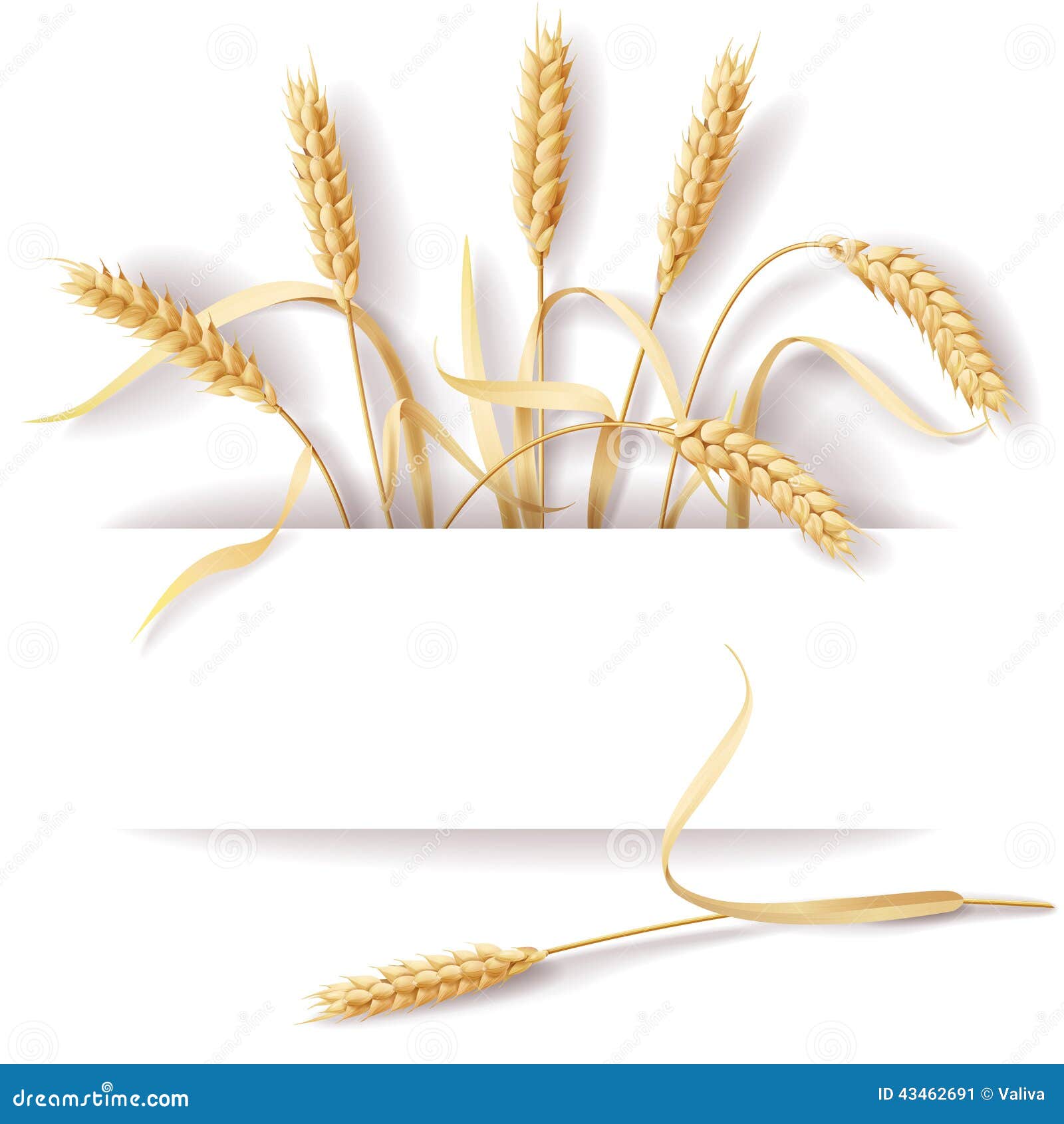 Wheat Stock Illustrations – 137,038 Wheat Stock Illustrations, Vectors ...