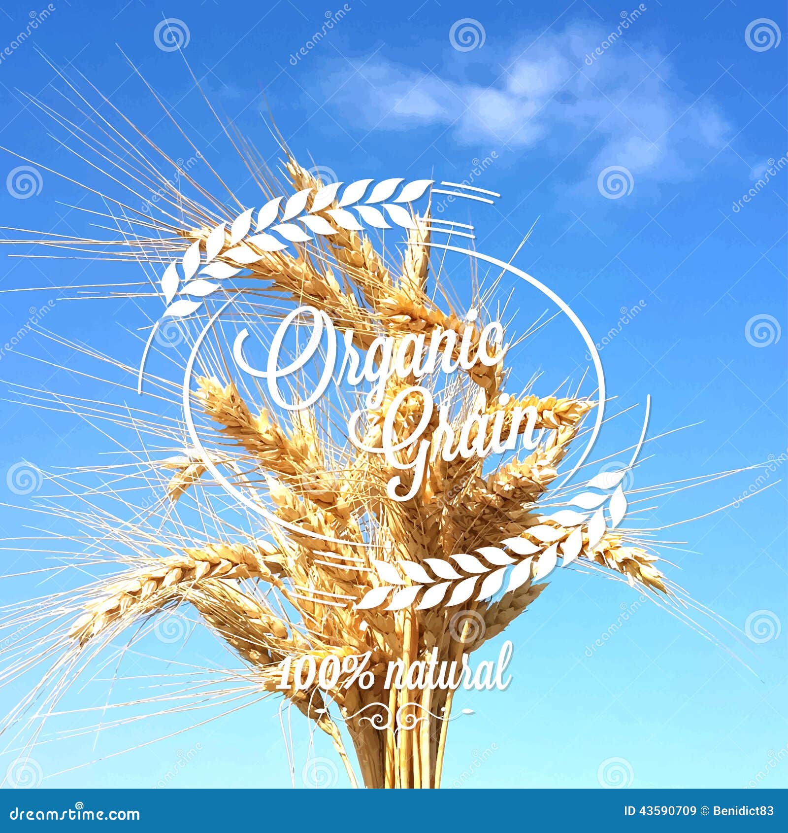 Spikes Design Stock Illustrations – 6,212 Spikes Design Stock ...