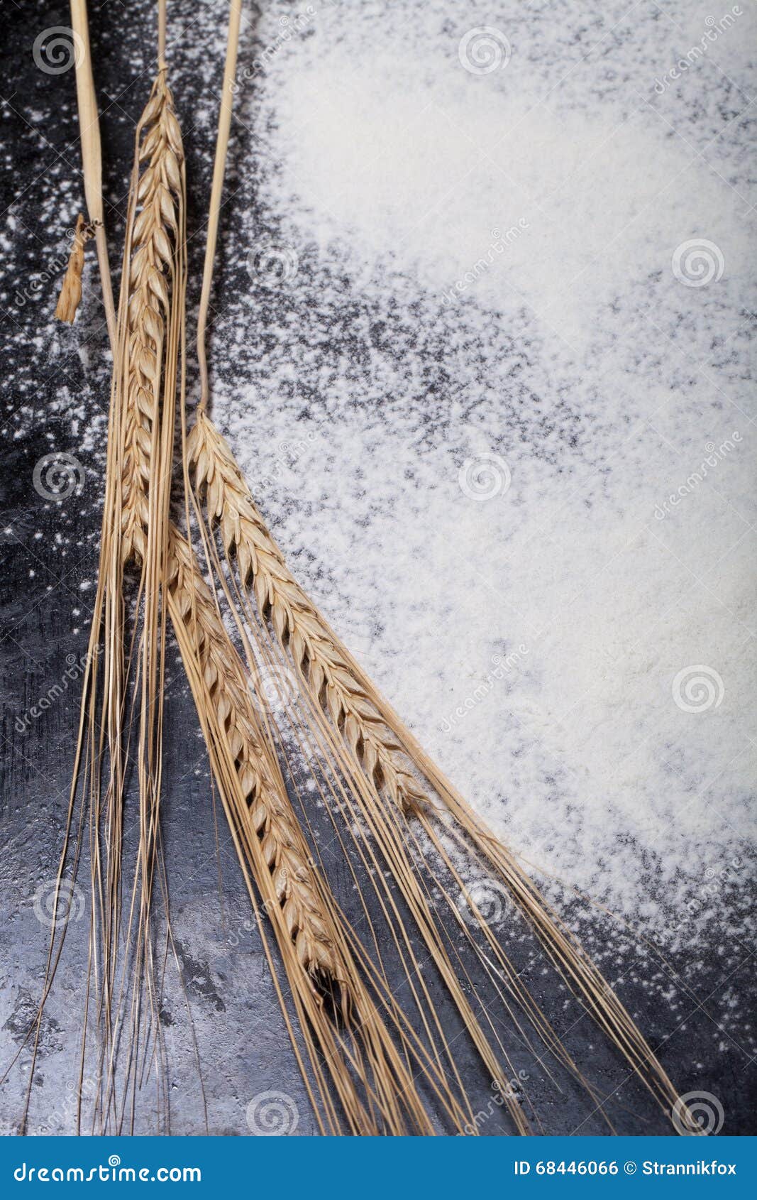 Wheat Ears and Sprinkle Flour on Black Background Stock Photo - Image ...