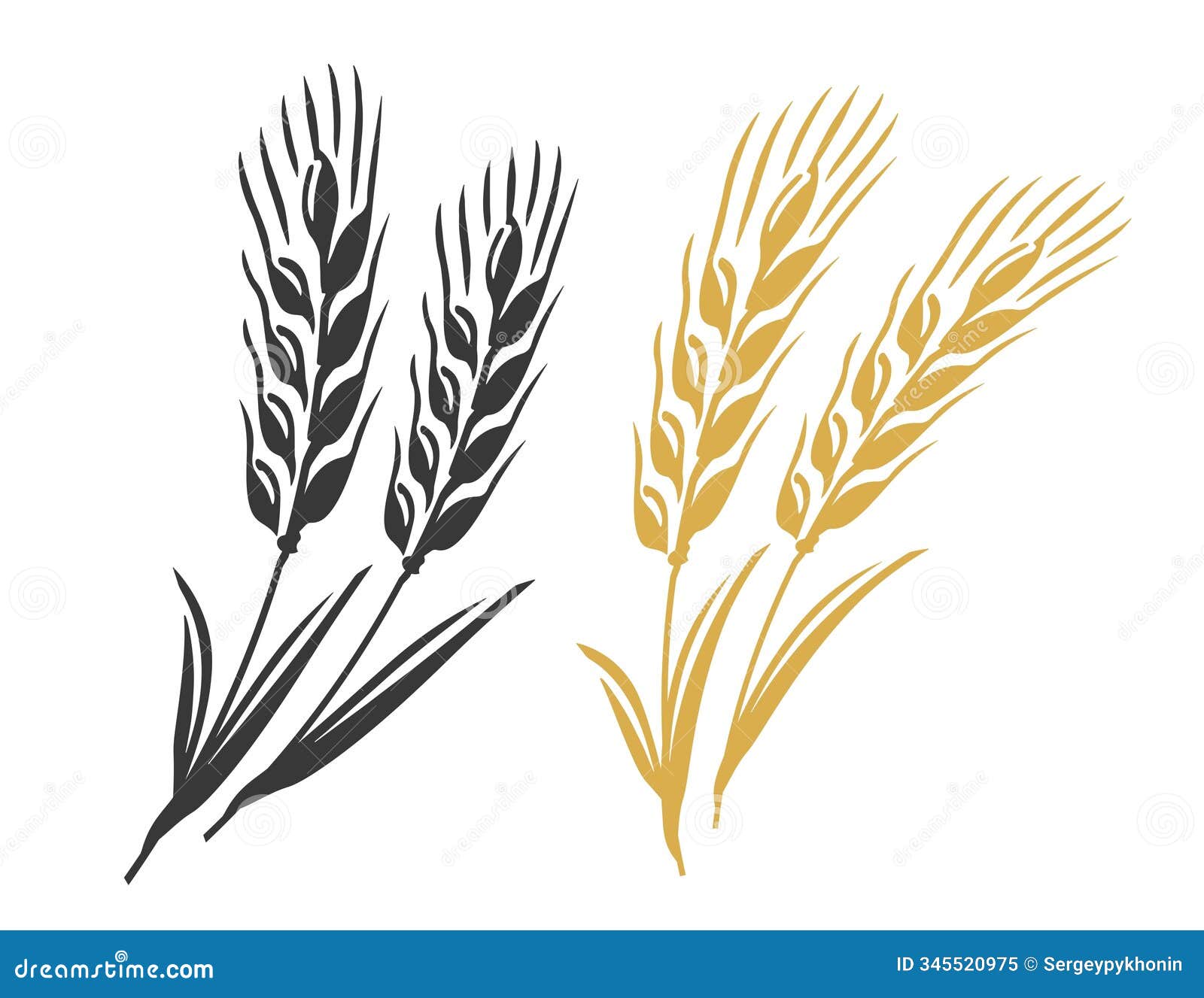 Wheat Ears Symbol. Drawing For Bread, Flour, Whisky, Beer Label Or Packaging. Vector ...