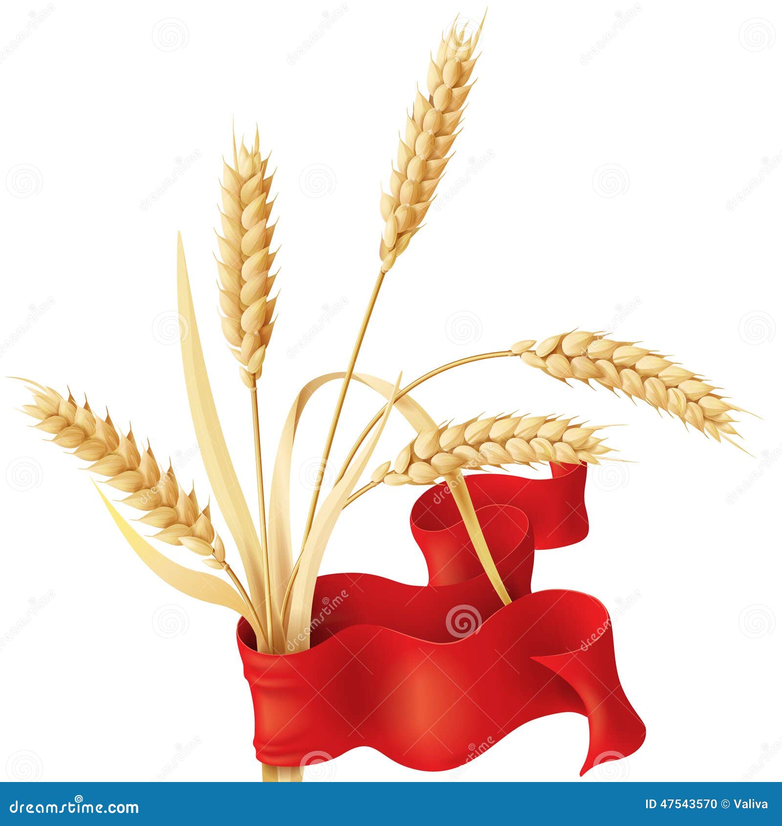 Wheat ears tuft and ribbon stock vector. Illustration of decoration ...
