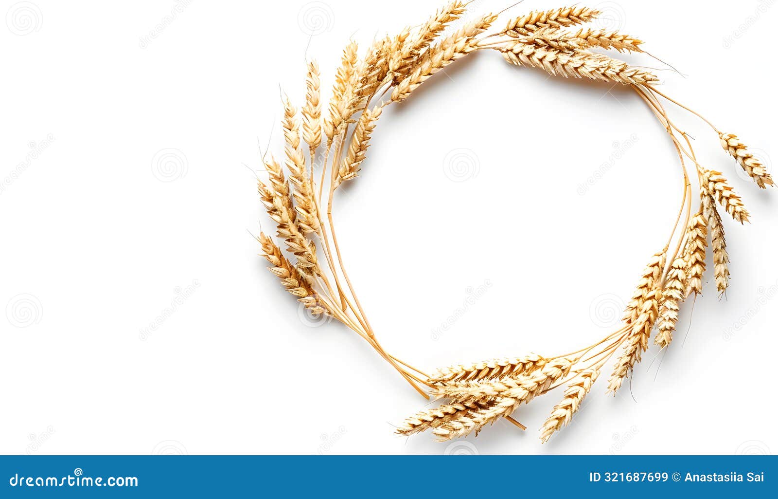 Wheat Ears on a White Background Stock Image - Image of ripe, grain ...