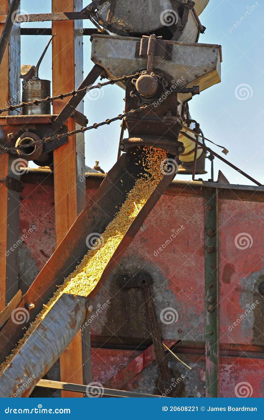 Wheat Falling Down the Chute of a Retro Thrasher Stock Image - Image of ...