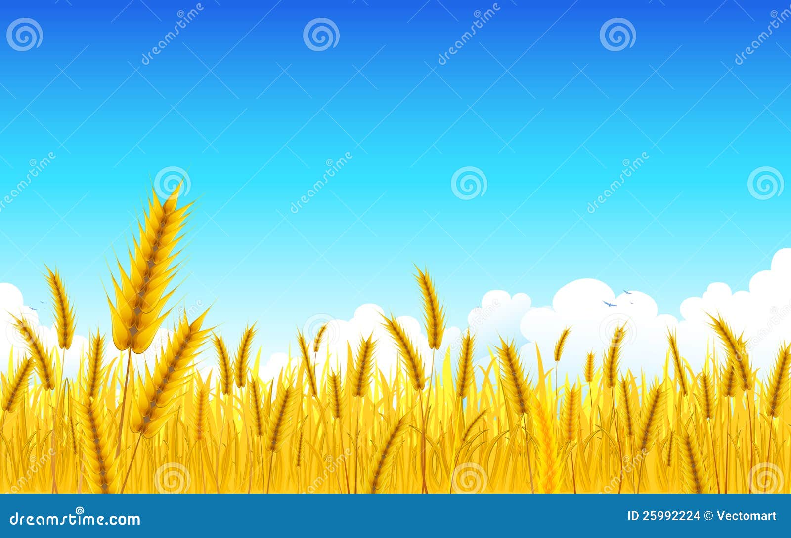 Wheat Farm stock vector. Illustration of cloud, growth - 25992224