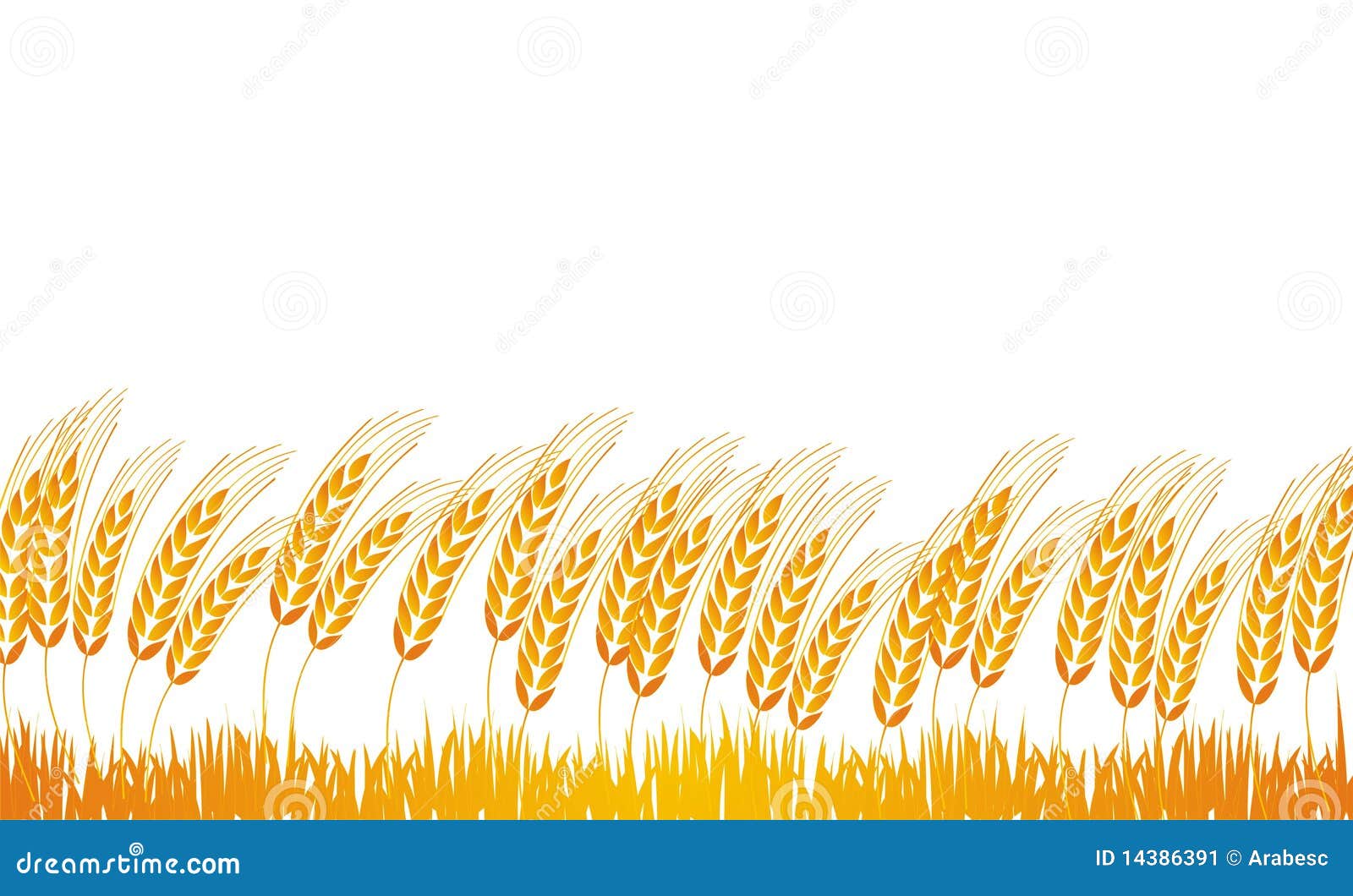 Wheat field stock vector. Illustration of rising, dawn - 14386391