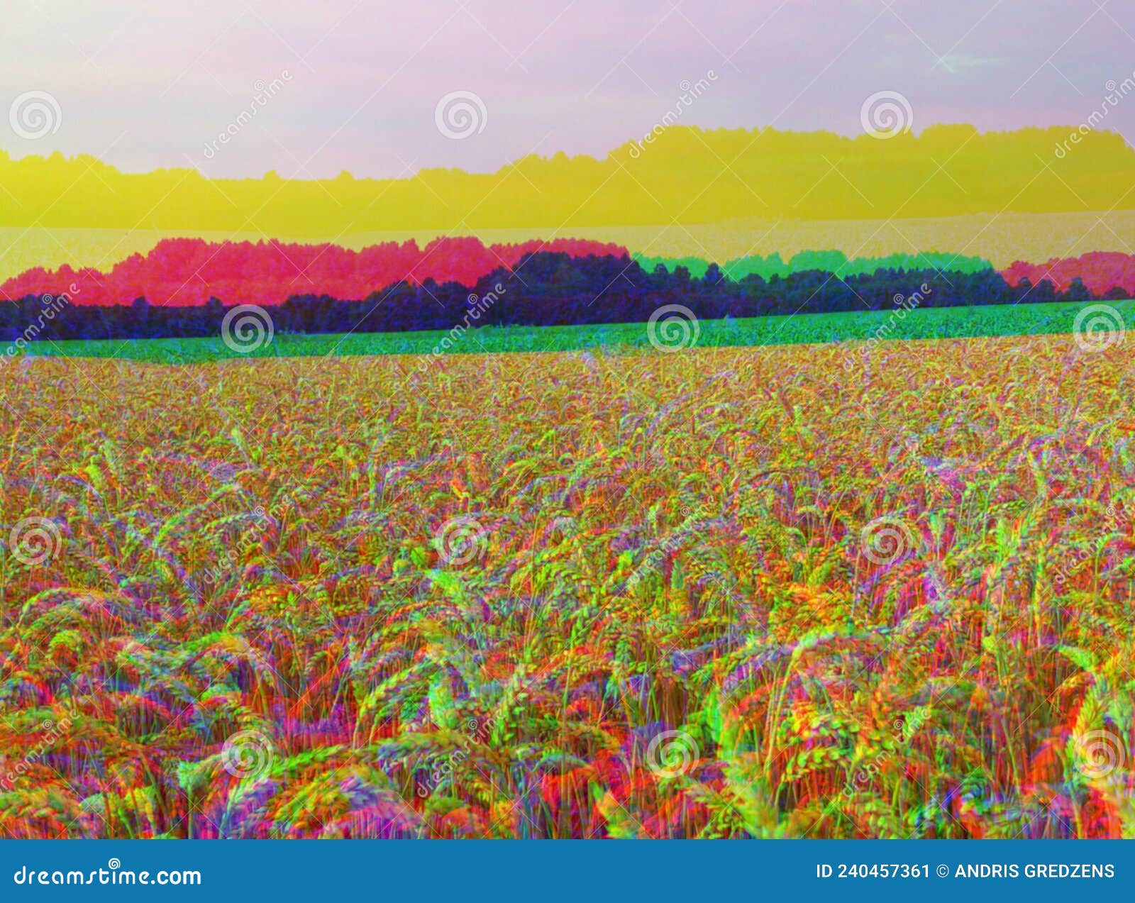 Wheat field abstract stock image. Image of abstract - 240457361