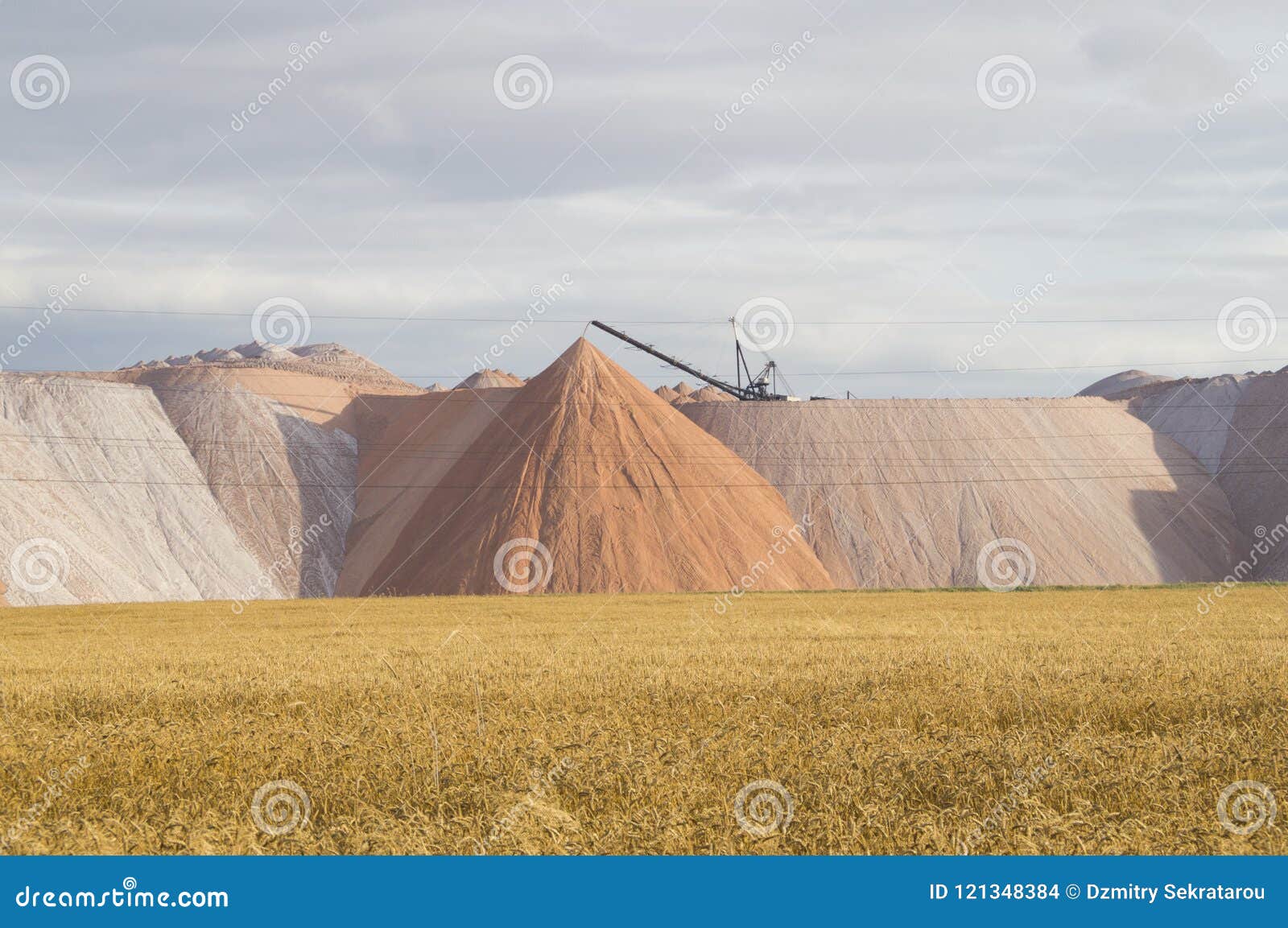 Wheat Field on the Background of Mountains Potassium Salt Stock Photo ...