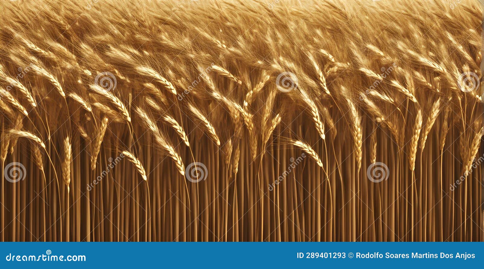 A Wheat Field Background Pattern Ai Generated Stock Illustration ...