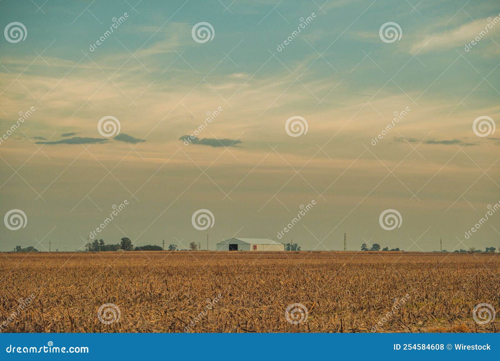 Wheat Field with a Barn in the Background Stock Photo - Image of barn ...