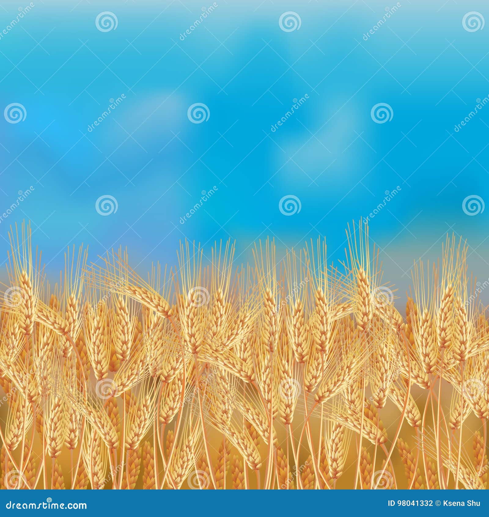 Wheat Field with the Blue Sky Stock Vector - Illustration of vector ...