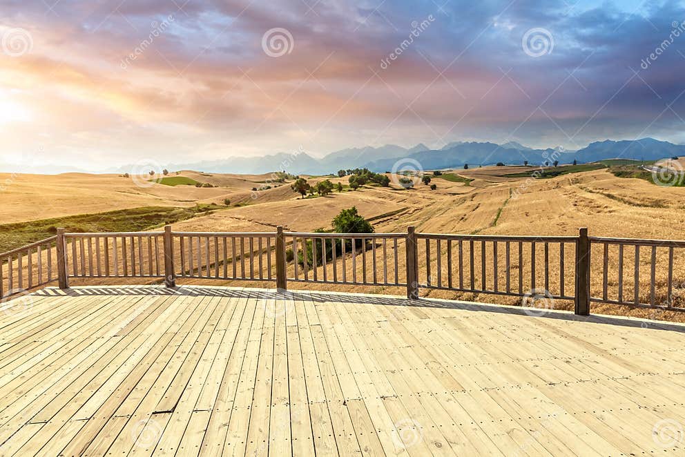 Wheat field in China stock image. Image of china, paddy - 127655585