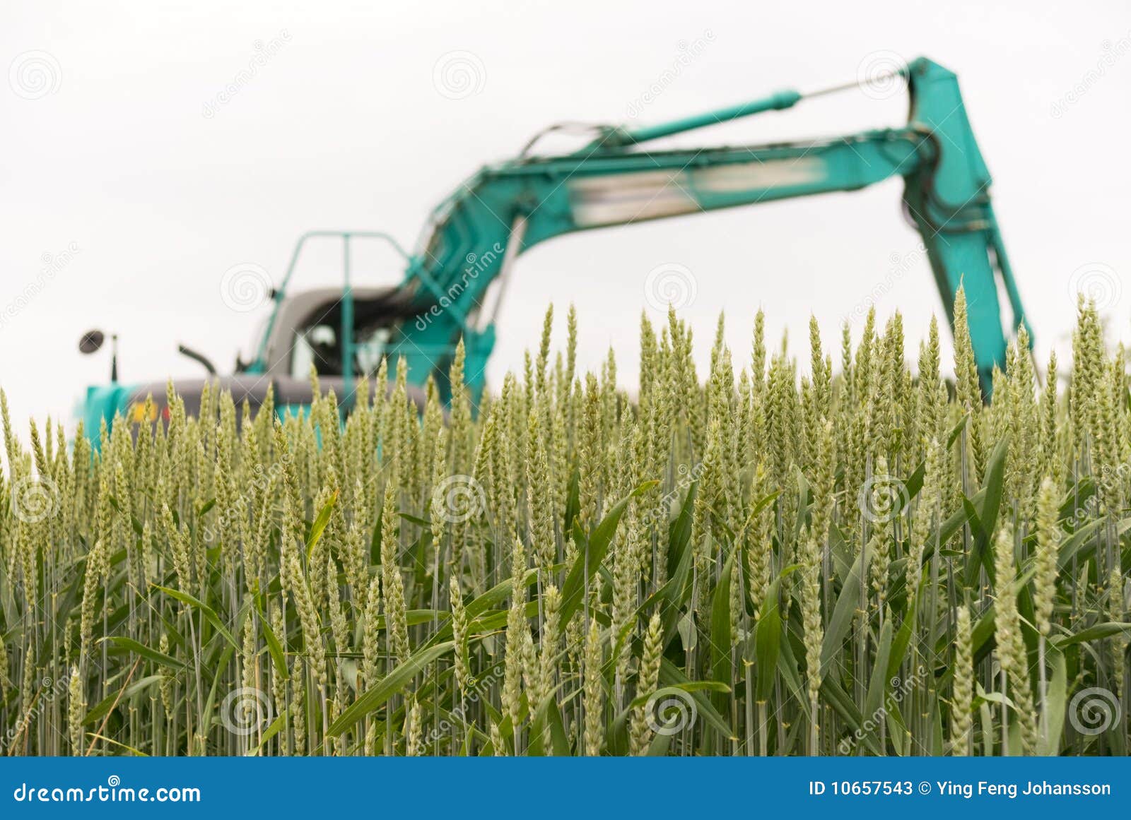 Wheat field and digger stock image. Image of excavator - 10657543