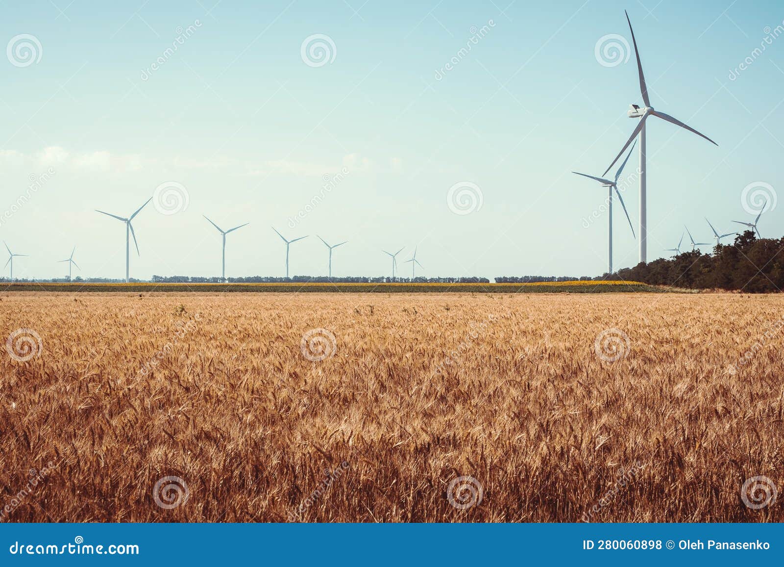 Wheat Field and Eco Power, Wind Turbines Stock Photo - Image of clean ...