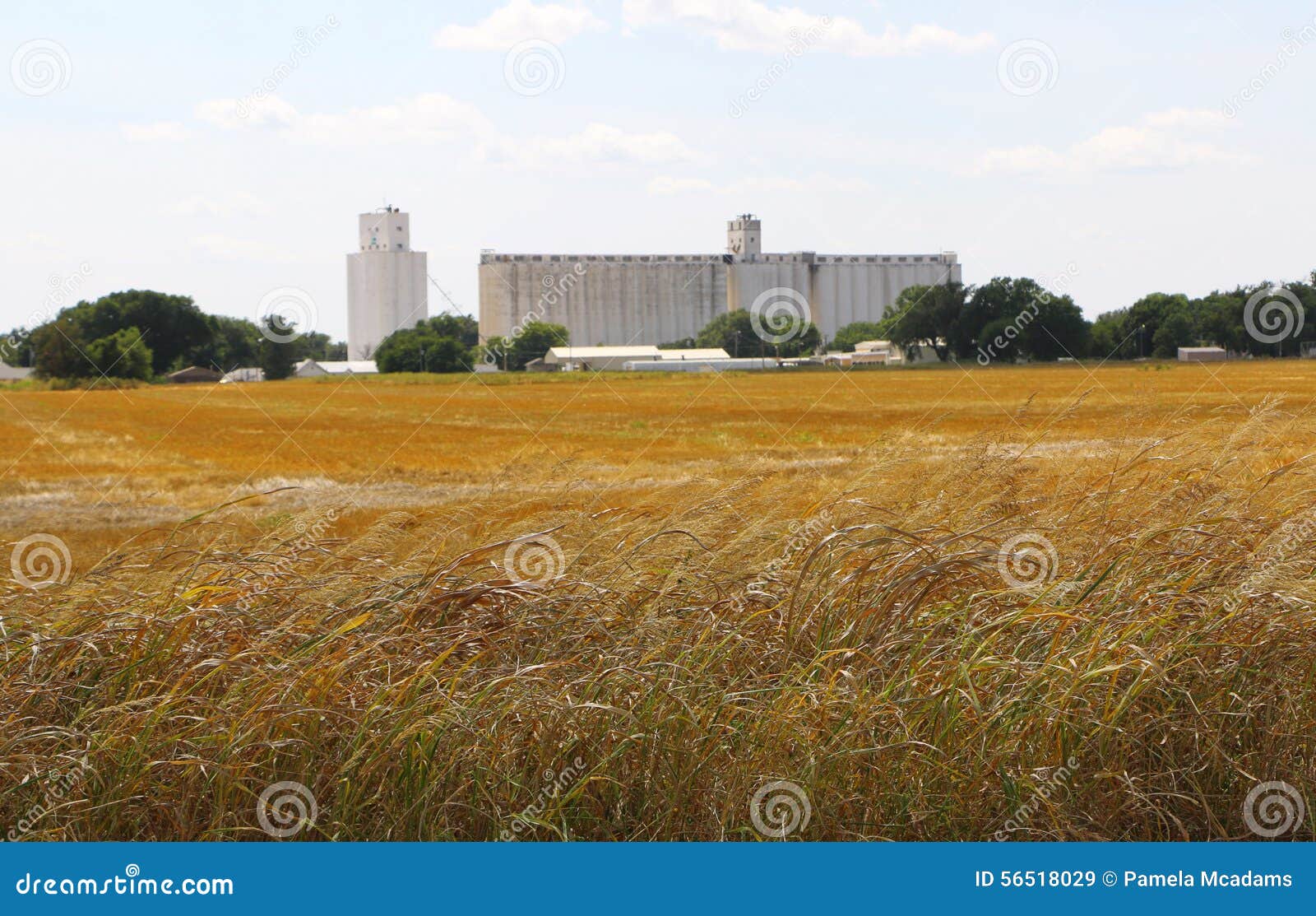 Wind Turbines Grain Elevator Stock Photos - Free & Royalty-Free Stock ...