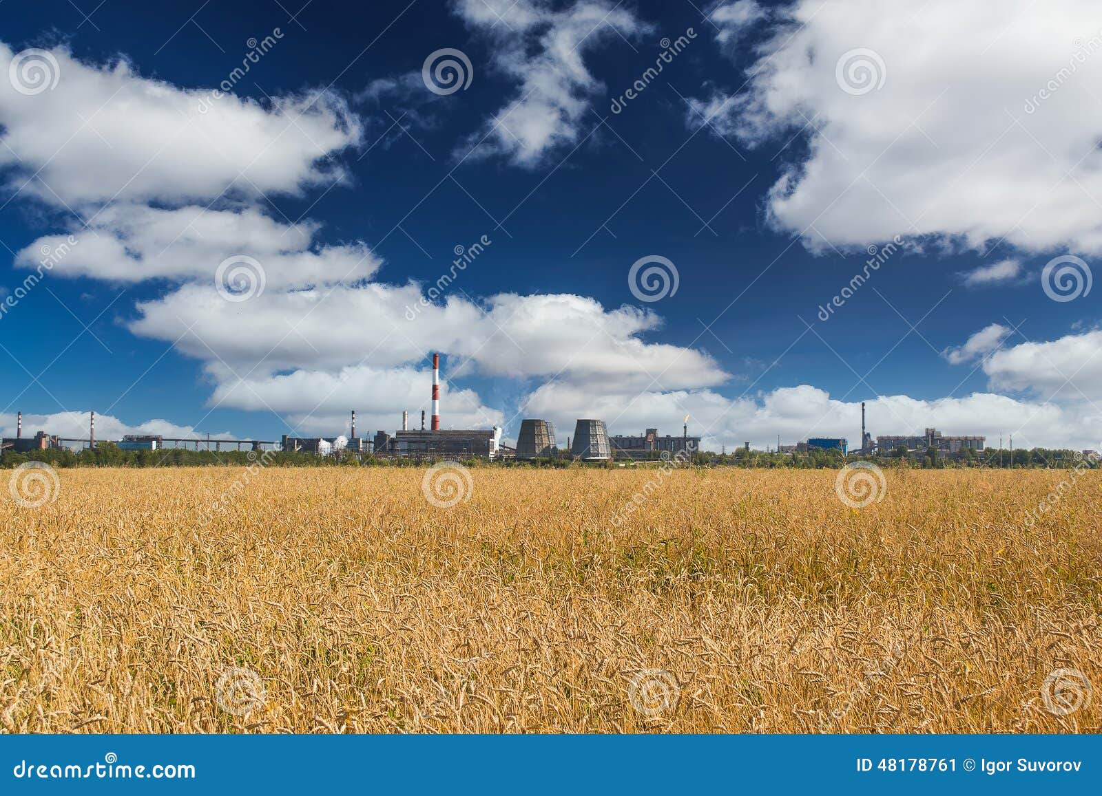 Wheat field and factory stock image. Image of pipe, fumes - 48178761