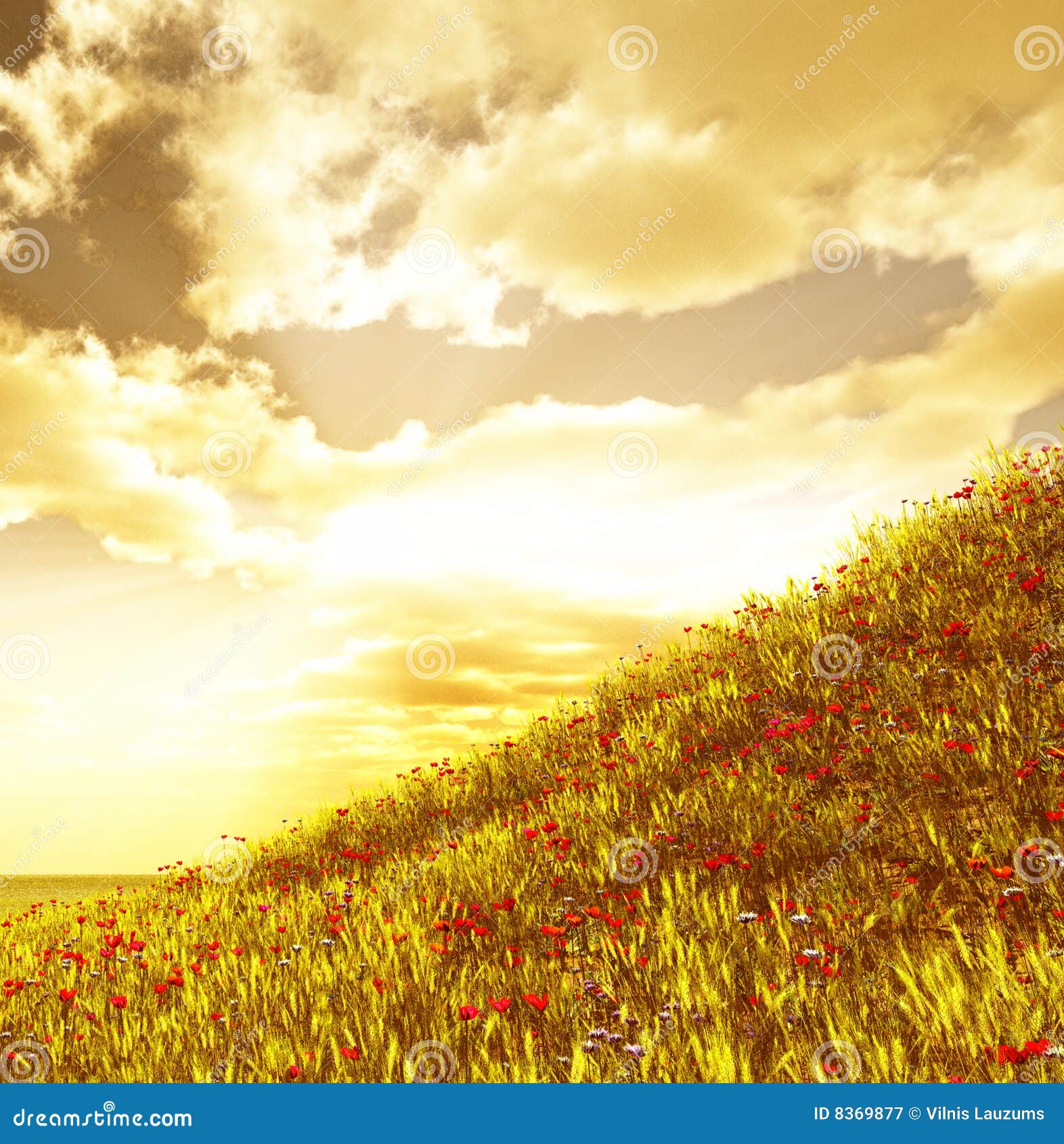 Wheat field with flowers stock illustration. Illustration of background ...