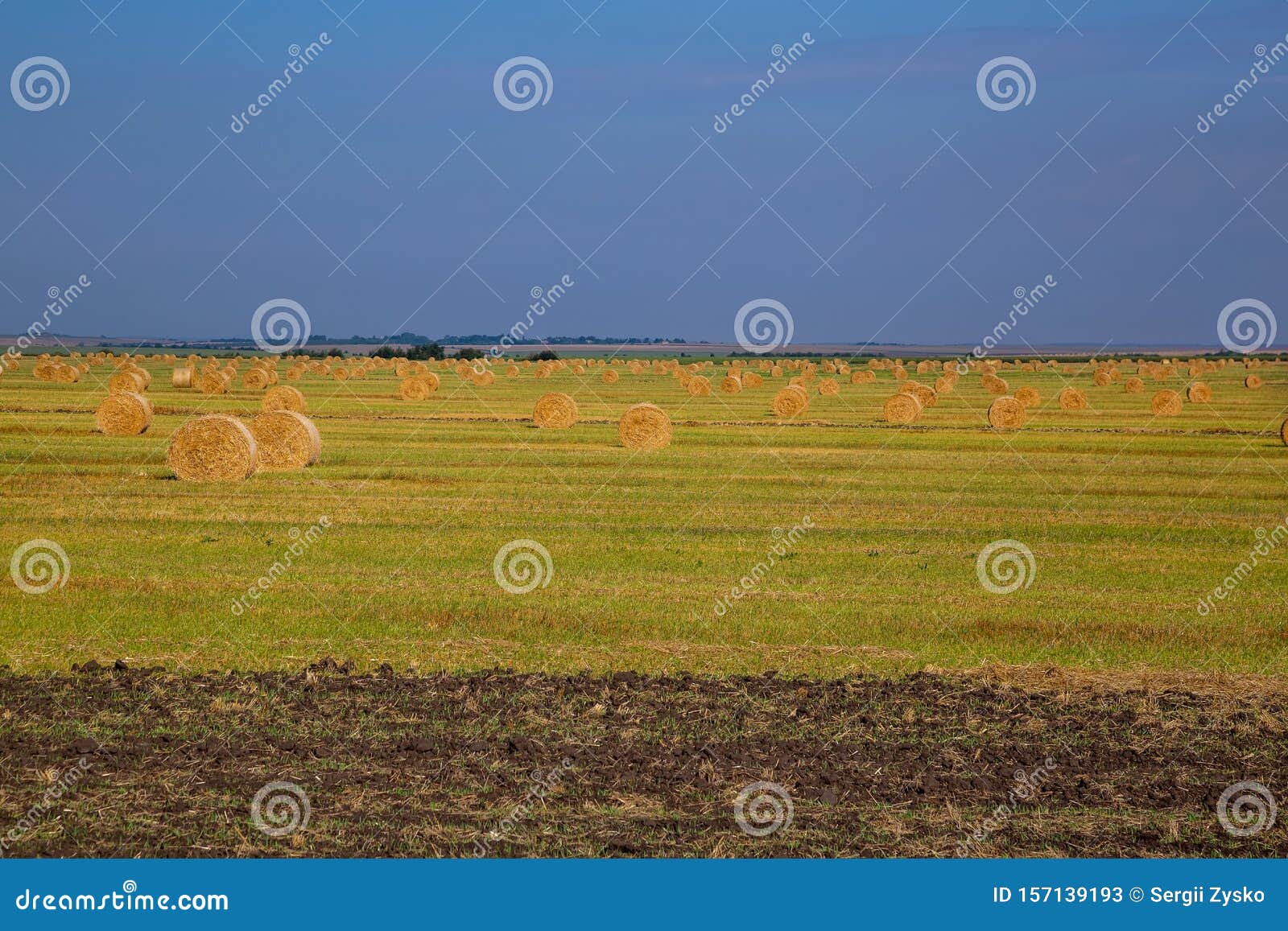 Wheat Field after Harvesting. Dry Hay on the Field Stock Image - Image ...